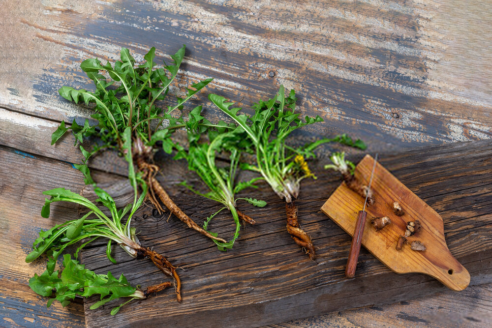 Skin Moles - Types, Causes, 05 Skin Moles Removal Remedies – DiyVines ...